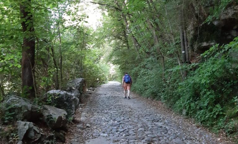 STRADA VASP BARZIO-PIANI DI BOBBIO APERTA E PERMESSI SCONTATI DEL 20% ...